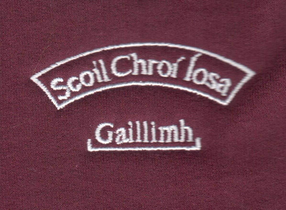 SCOIL CHROI IOSA PRESENTATION PRIMARY SCHOOL NEWCASTLE ROAD GALWAY